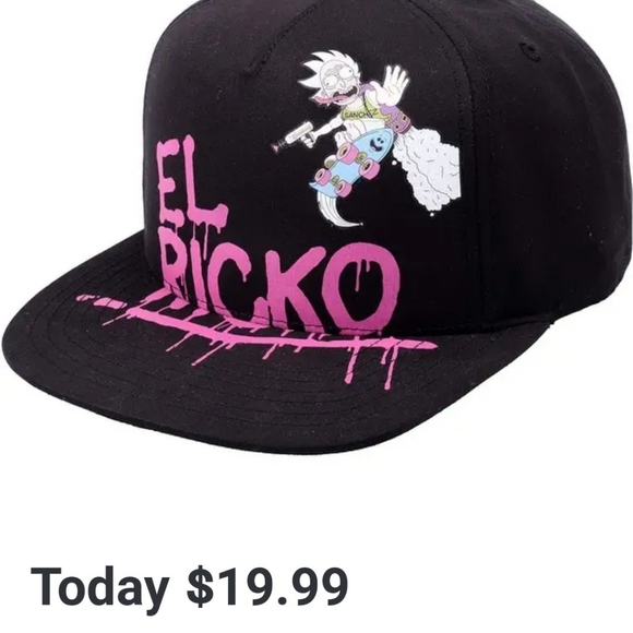 Other | El Ricko Hat From Rick Morty | Poshmark